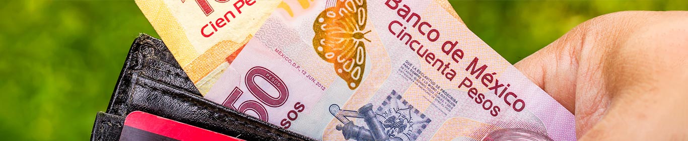 ¿Qué es la caja de ahorro IMSS y cómo funciona?